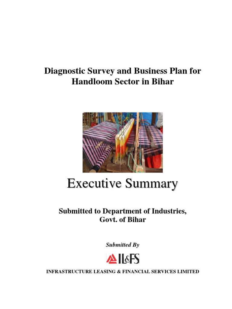 Bihar Handloom Sector Business Plan | PDF | Loom | Weaving