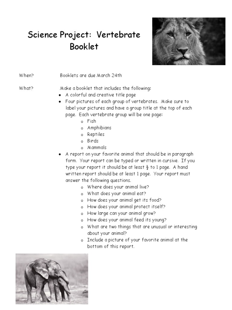 Vertebrate Science Project Guide | PDF
