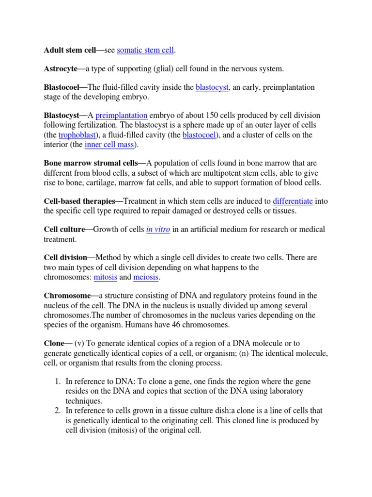 All About Stem Cells | Download Free PDF | Stem Cell | Cell Potency