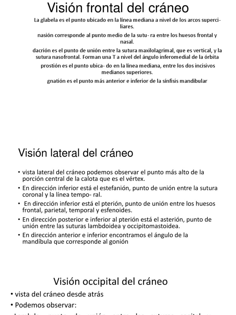 Anatomía del Cráneo: Puntos Clave y Vistas | PDF | Artes del Lenguaje y ...
