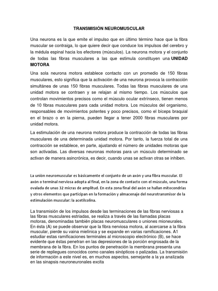 Transmisión Neuromuscular | PDF