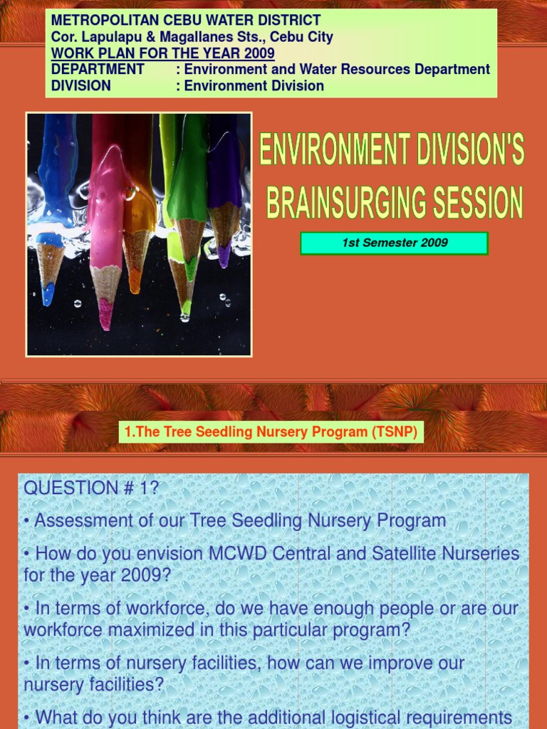 The Proposed Action Plan | PDF