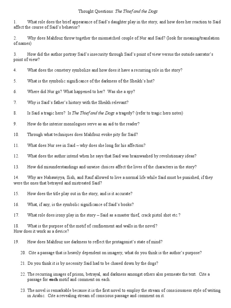 Analyzing Themes in The Thief and the Dogs | PDF