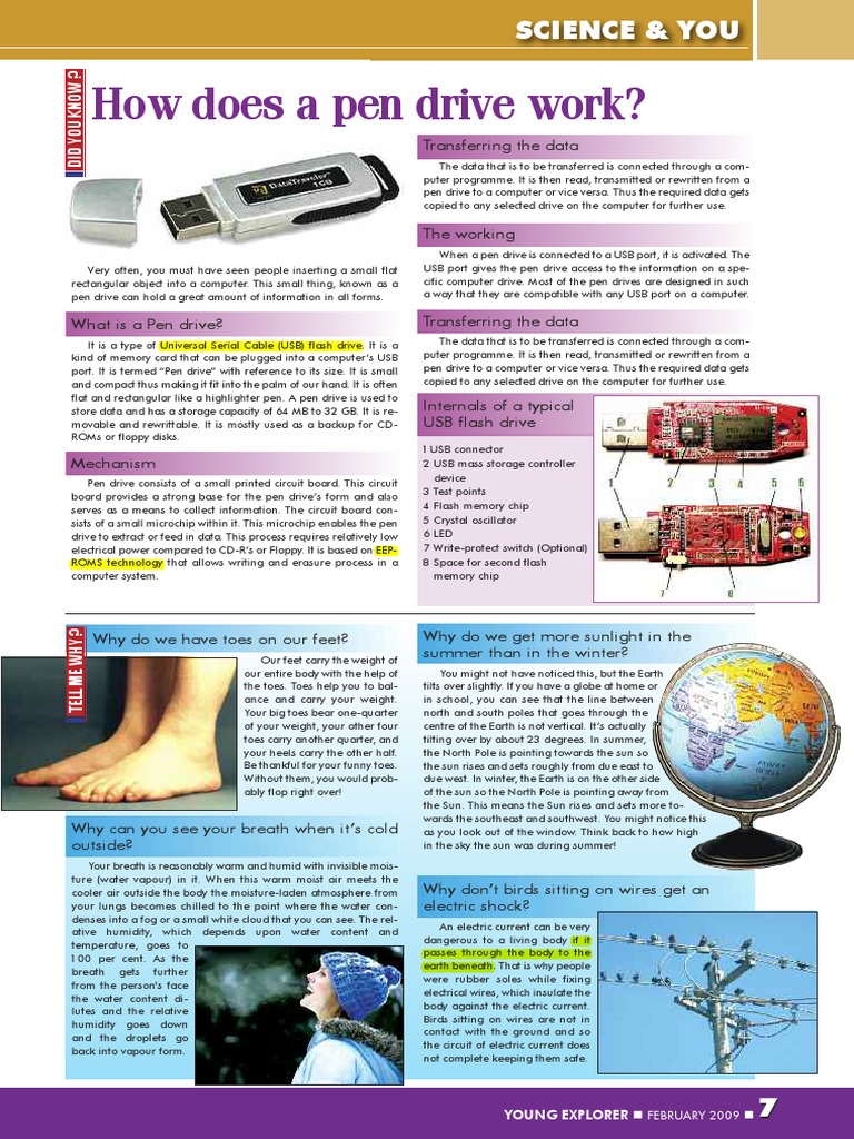 How Does A Pen Drive Work?: Young Explorer N February 2009 N | PDF ...