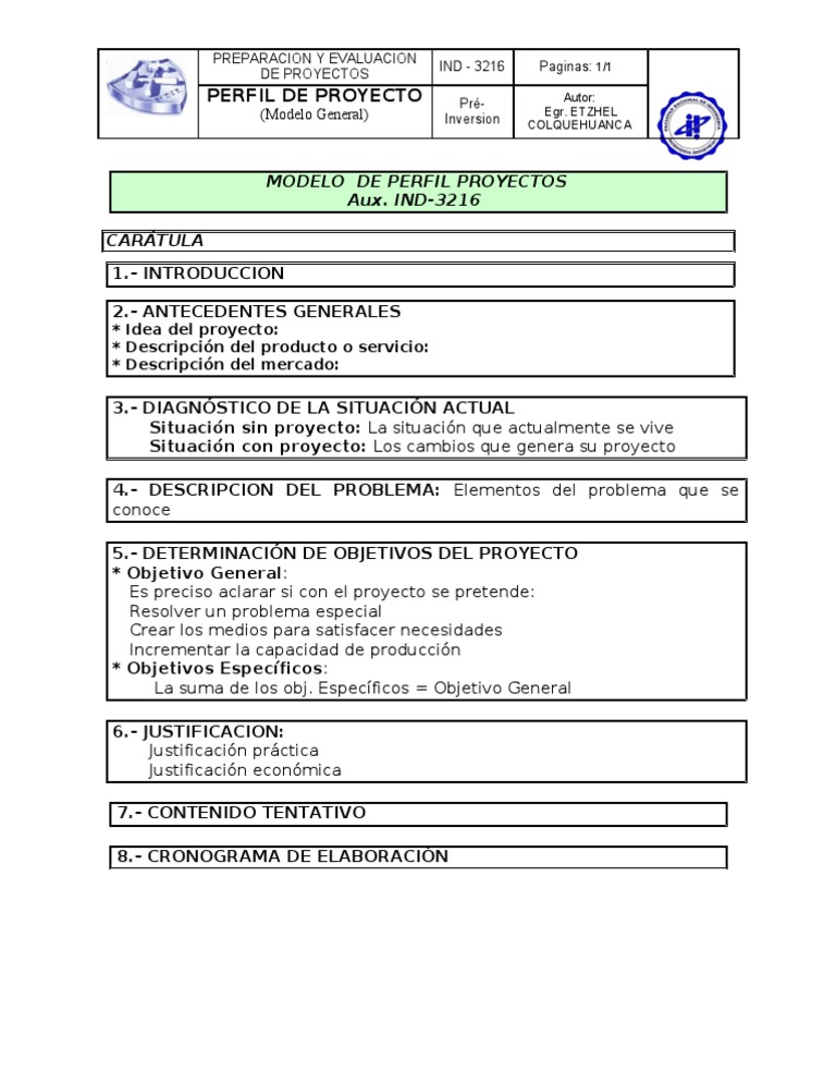 Perfil de Proyectos (Modelo) | PDF