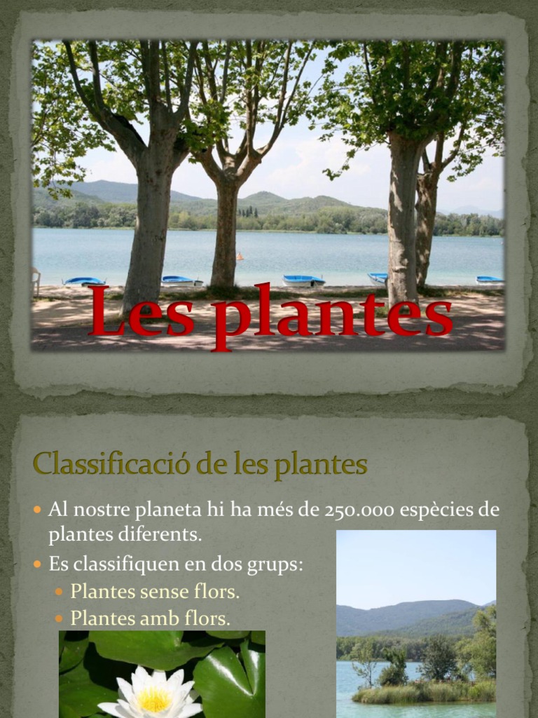 Les Plantes | PDF