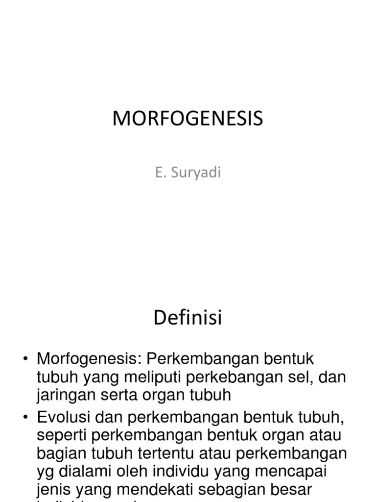 Proses Morfogenesis dalam Embrio | PDF