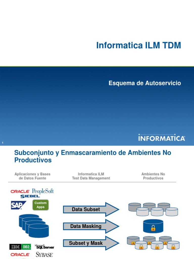 Informatica ILM TDM Esquema Autoservicio | PDF | Software | Informática