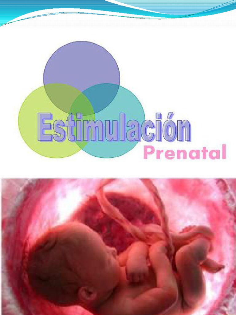 Estimulación Prenatal Diapositivas | PDF
