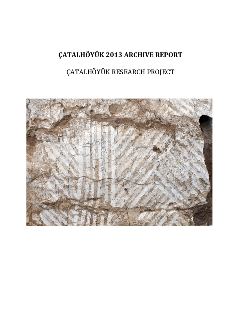 Archive Report 2013 | PDF | Conservation And Restoration | Archaeology