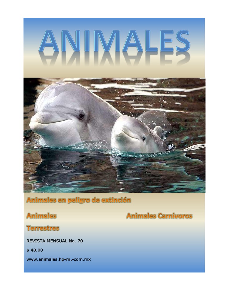 Revista Animales Original | PDF | Caballos | León