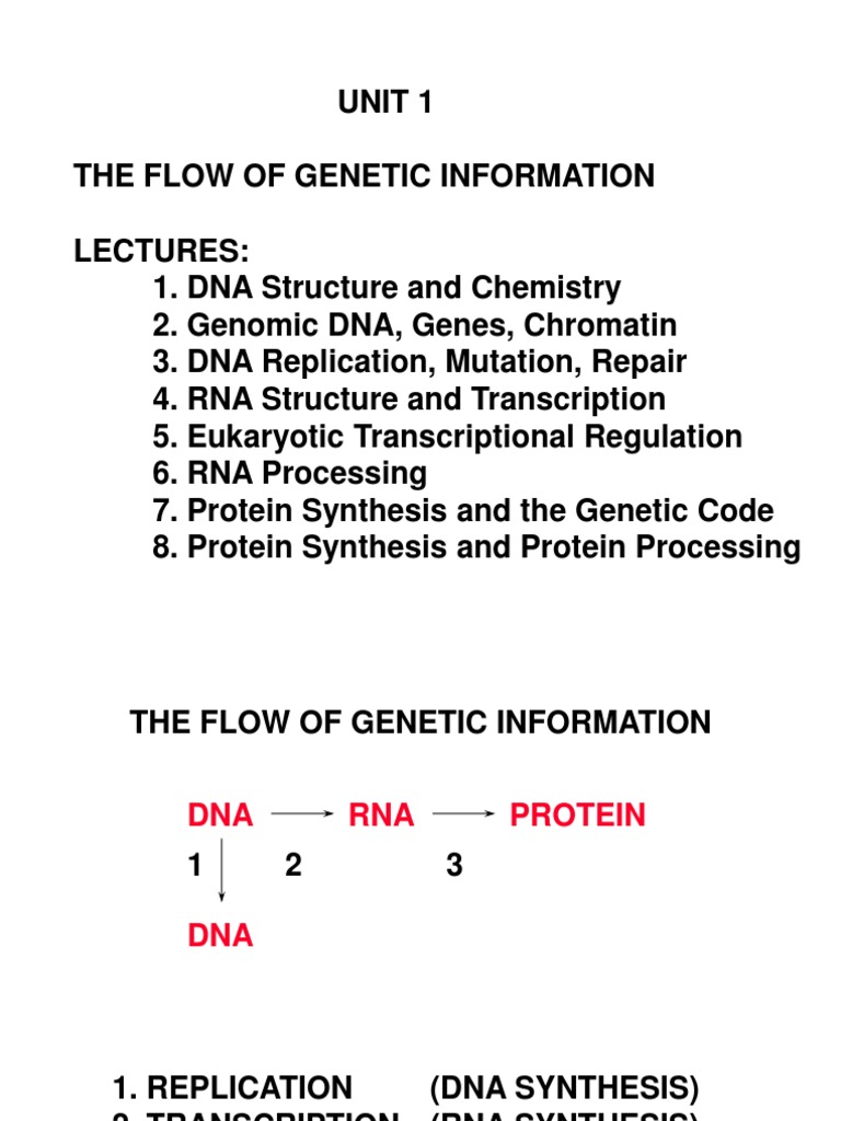 Flow of Genetic Information 1 | Directionality (Molecular Biology) | Dna