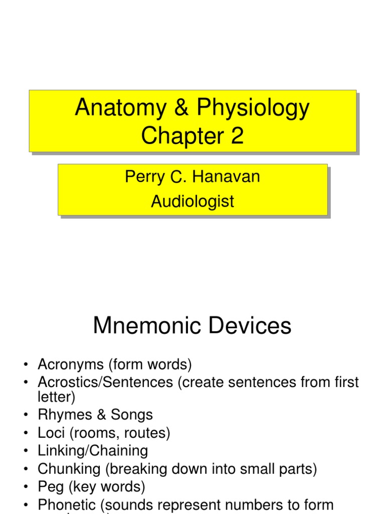 Human Anatomy Part 1 | PDF | Anatomical Terms Of Motion | Epithelium