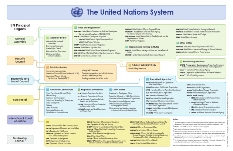UN System Organizational Chart | PDF