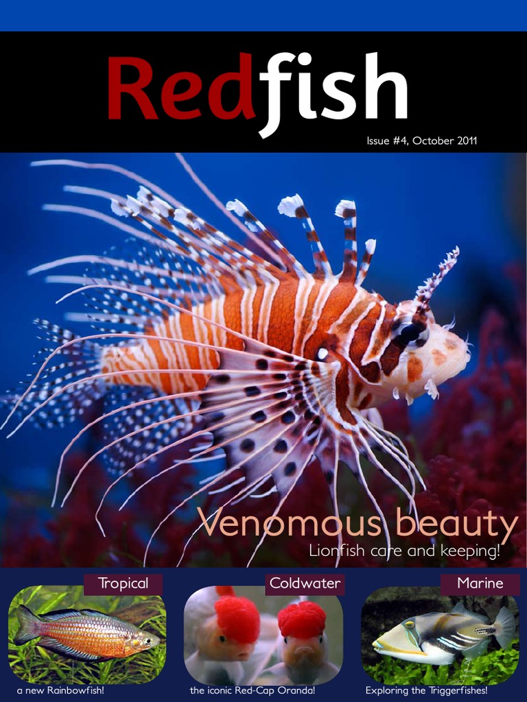 Redfish Magazine 2011 October | PDF | Aquarium | Fishkeeping