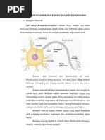 Jenis dan Fungsi Neuroglia dalam Sistem Saraf | PDF | Pengembangan Diri ...