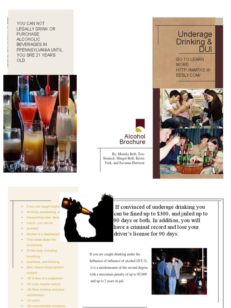 Wellness Underage Drinking Final | PDF | Social Science