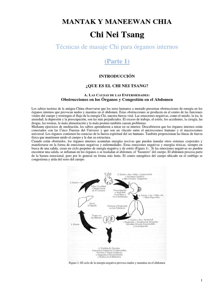 Chi Nei Tsang 1 - Masaje Chi para Organos Internos 46p PDF | PDF