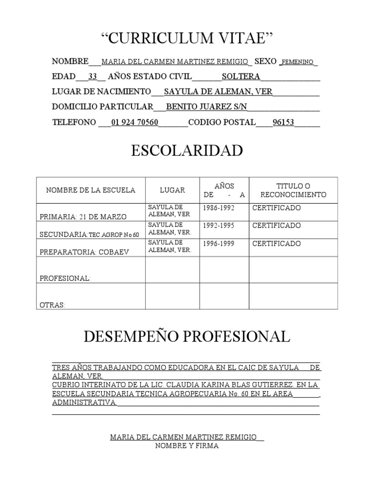 Curriculum Vitae Sev | PDF