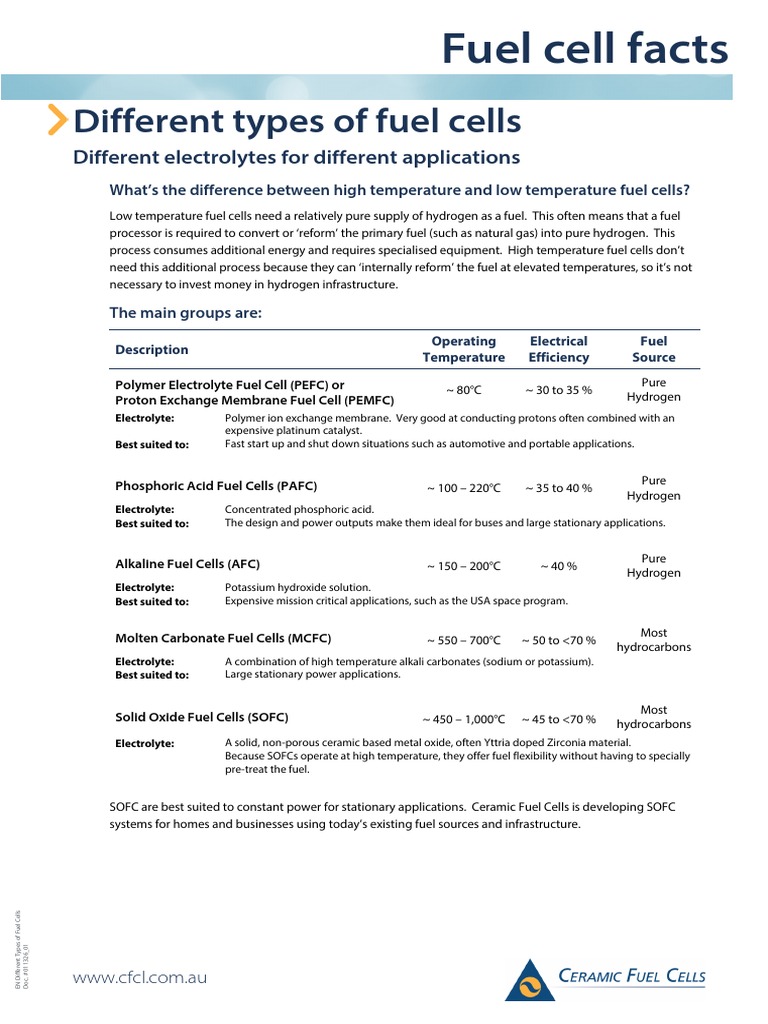 Types of Fuel Cells Explained | PDF | Science & Mathematics ...
