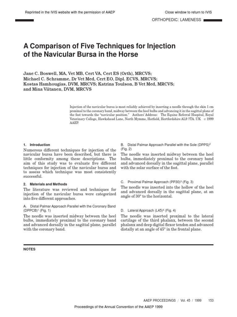 Techniques For Injection of Navicular Bursa | PDF | Anatomical Terms Of ...