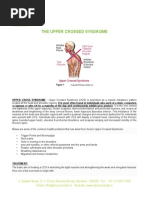 Klapp Method | PDF | Scoliosis | Orthopedic Surgery