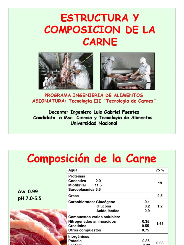 ESTRUCTURA Y COMPOSICION DE LA CARNE.pdf | Carne | Lípido