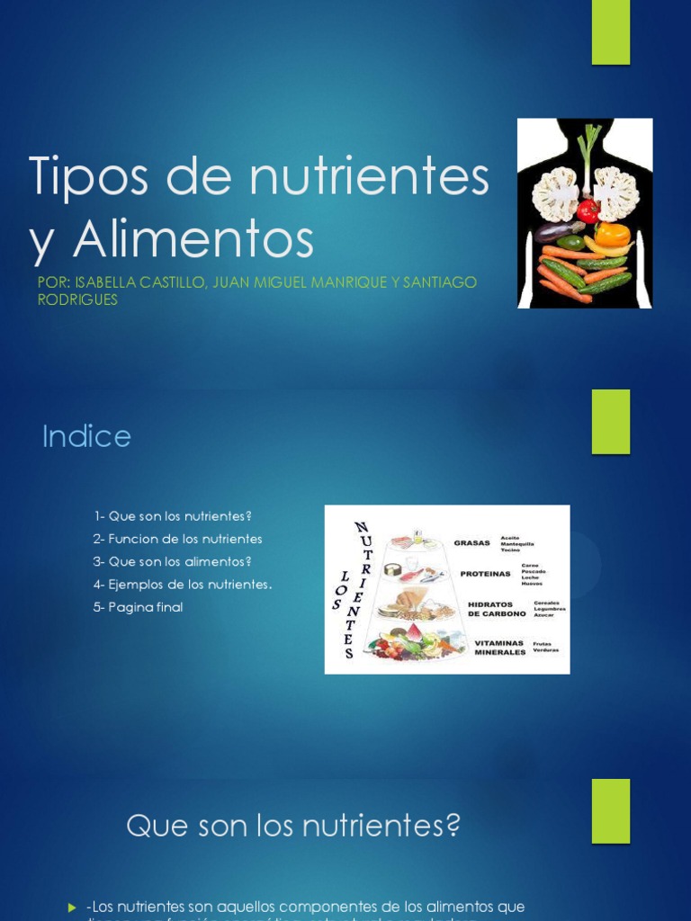 Tipos y Ejemplos de Nutrientes | PDF | Salud y bienestar