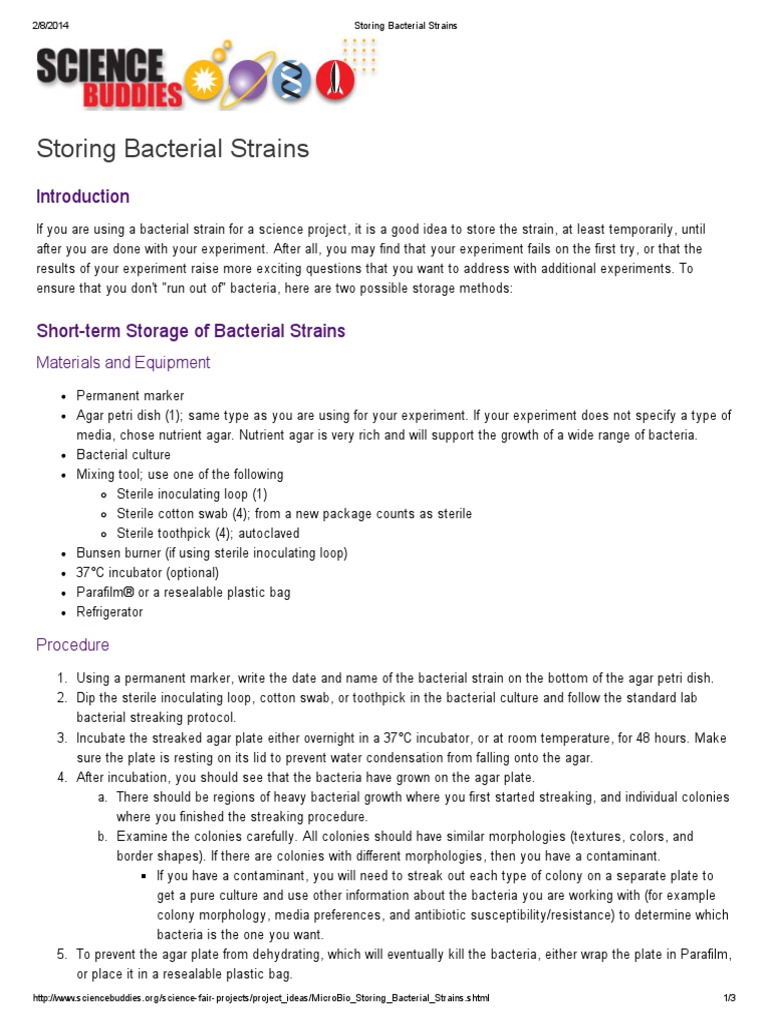 Bacterial Preservation | PDF