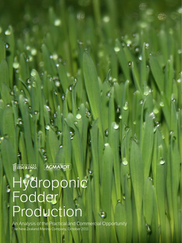 AIG (Grant 1122) Merino NZ - Hydroponic Fodder Production | PDF | Fodder | Cereals