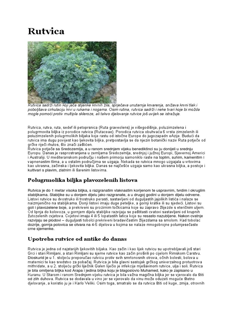 Biljke | PDF