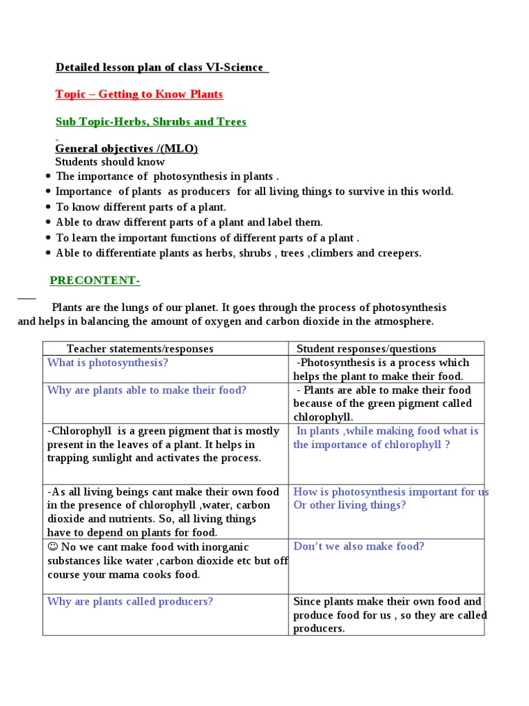 Class 6 Science: Plants Lesson Plan | PDF | Photosynthesis | Chlorophyll