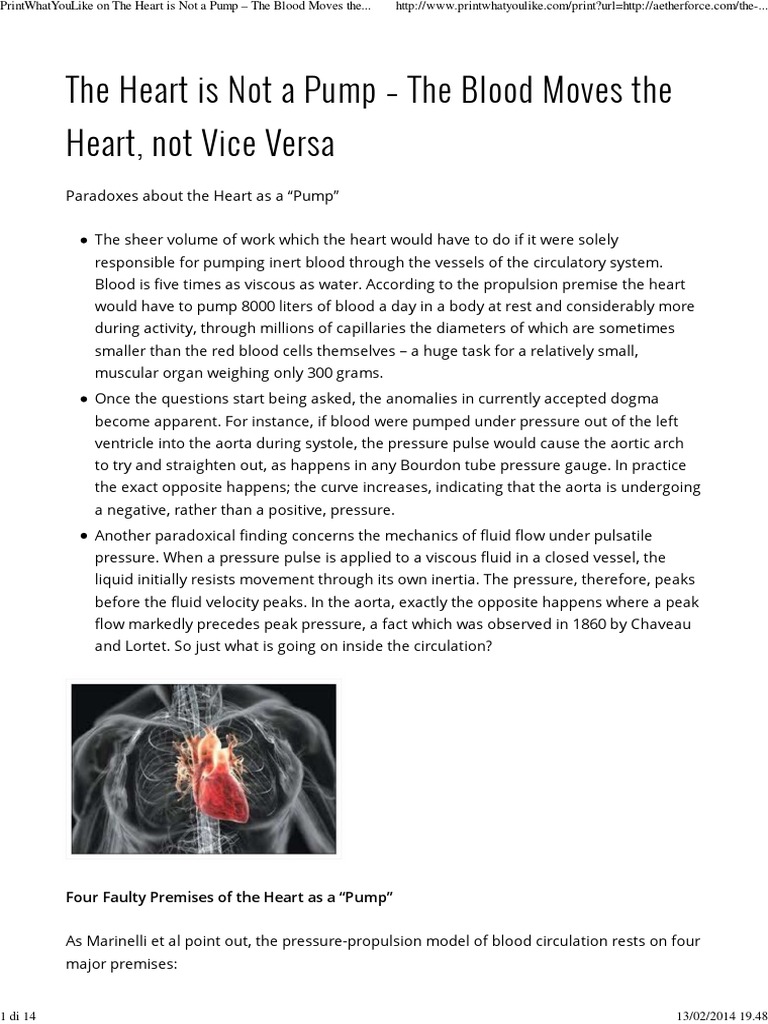 Heart Dynamics: Beyond Pump Theory | PDF | Heart | Ventricle (Heart)