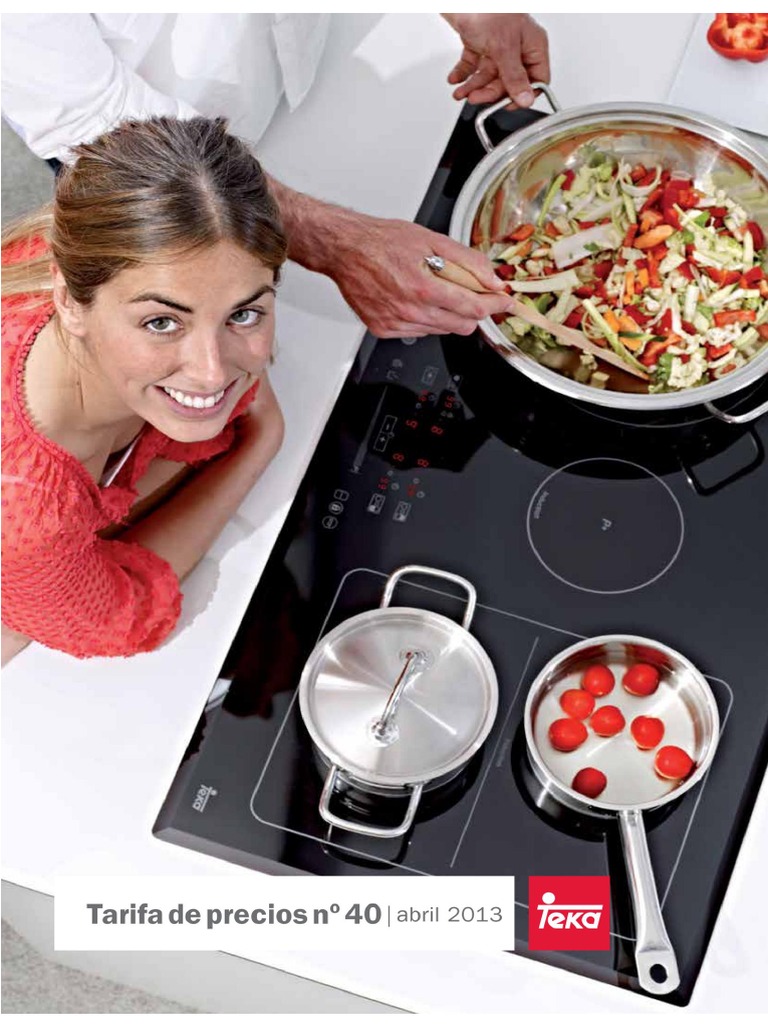 Teka Catalogo2013 1 | PDF | Electrodoméstico | Energía y recursos