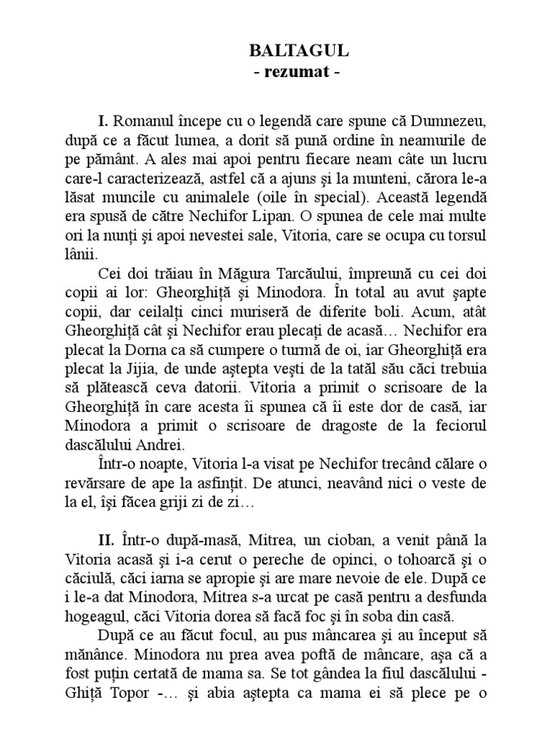 WWW Educativ ro-Mihai-Sadoveanu - Baltagul - (Rezumat-3) | PDF
