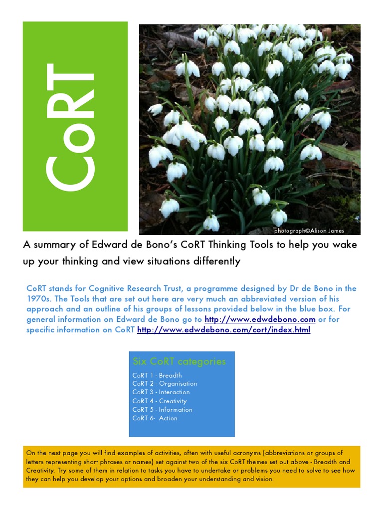 A Summary of Edward de Bono'S Cort Thinking Tools To Help You Wake Up ...