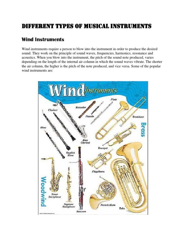Different Types of Musical Instruments | PDF | String Instruments ...