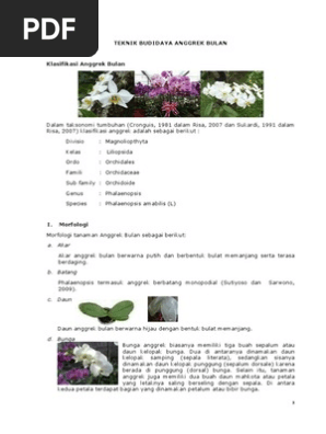 Wajib Tahu! 45+ Morfologi Tanaman Bunga Anggrek Terbaik - Informasi ...