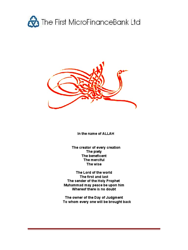 First MicroFinance Bank Pakistan | PDF | Microfinance | Financial Services