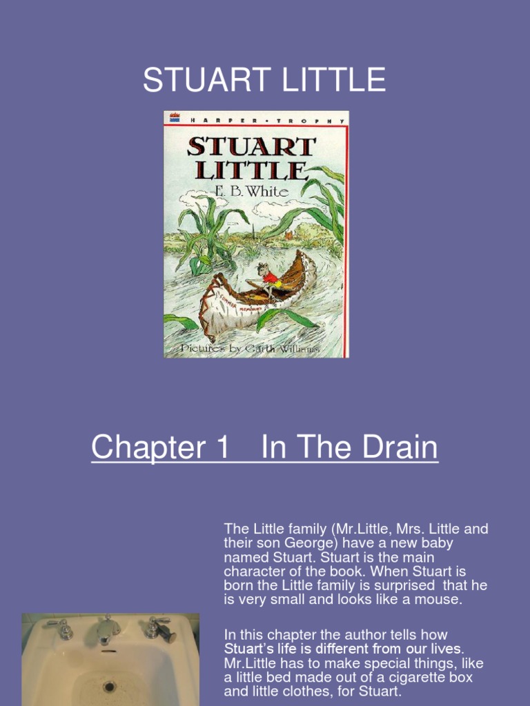 Stuart Little | PDF | Leisure