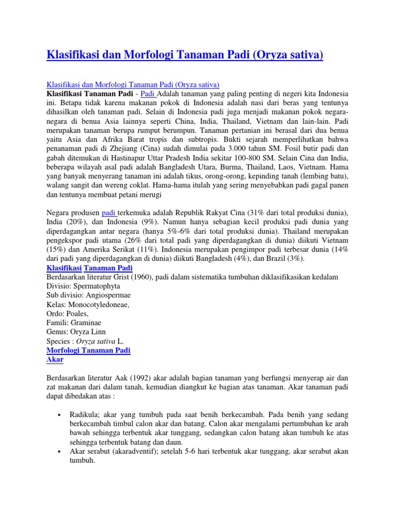 Klasifikasi Dan Morfologi Tanaman Padi | PDF