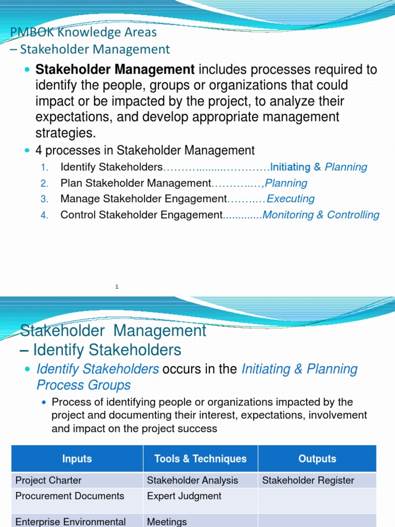 Stakeholder Management Processes Overview | PDF | Project Management ...