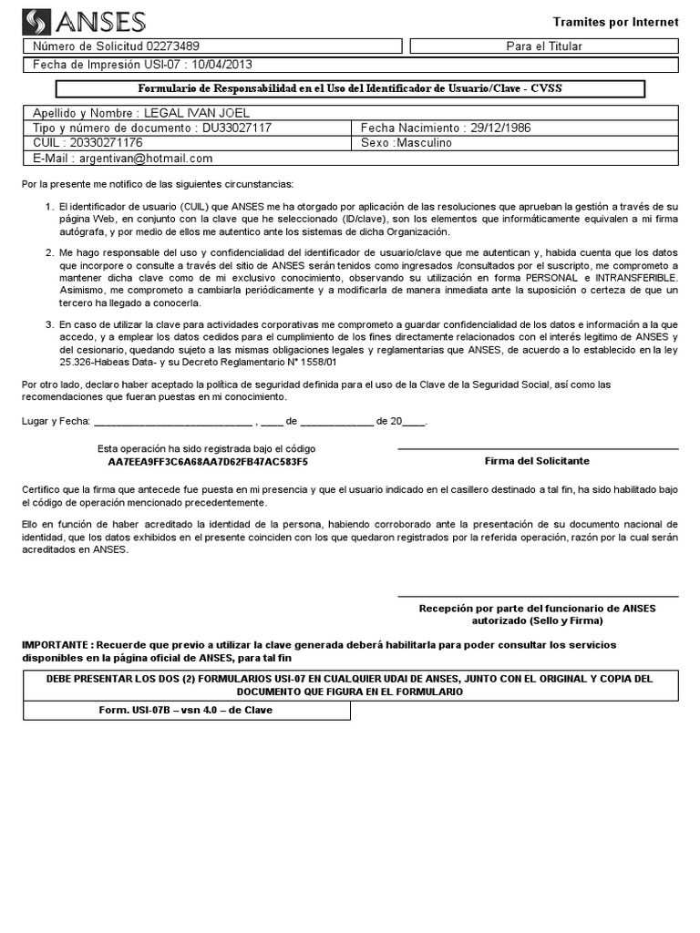 ANSES - Formulario USI-07 | PDF | Internet | Informática