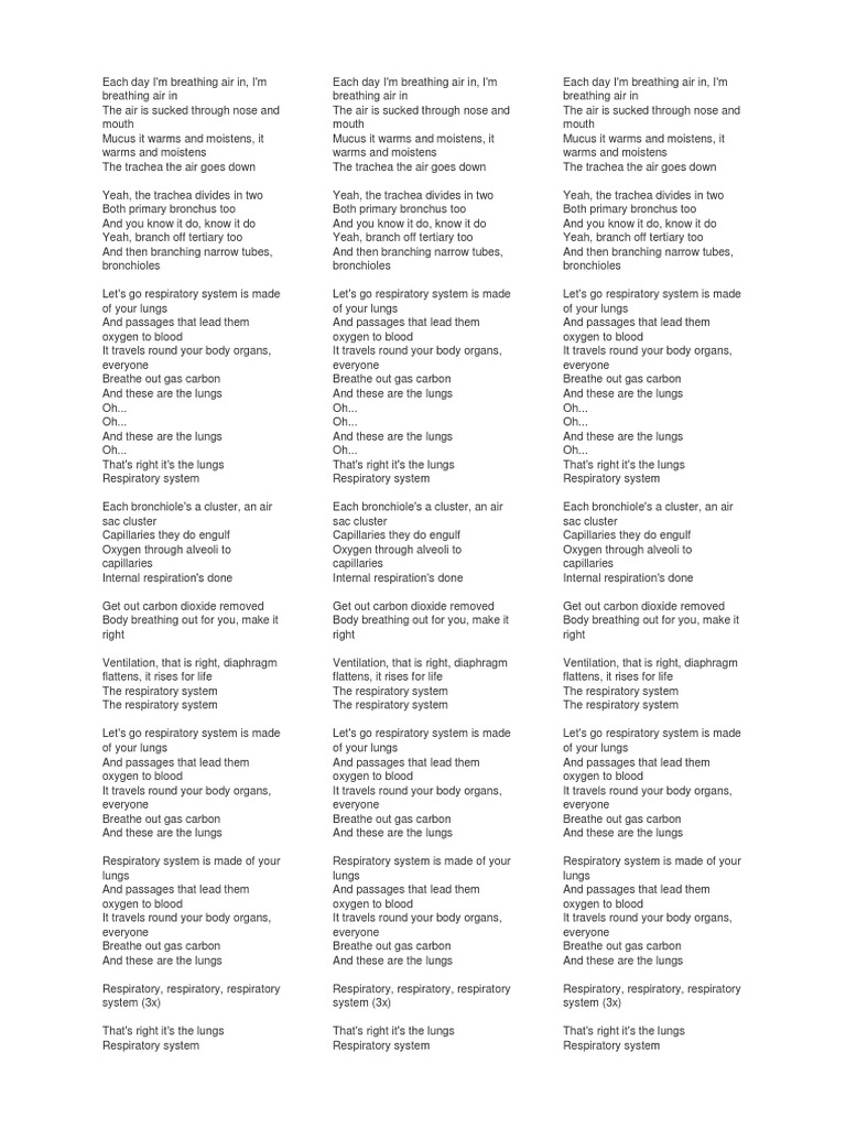 Respiratory System Song | PDF | Respiratory System | Lung