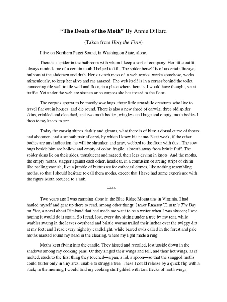 Annie Dillard's Moth: Life and Death | PDF | Candle