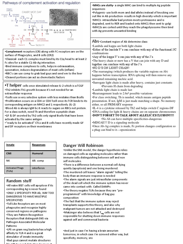 Immuno Cheat Sheet 1 | T Helper Cell | Immune System