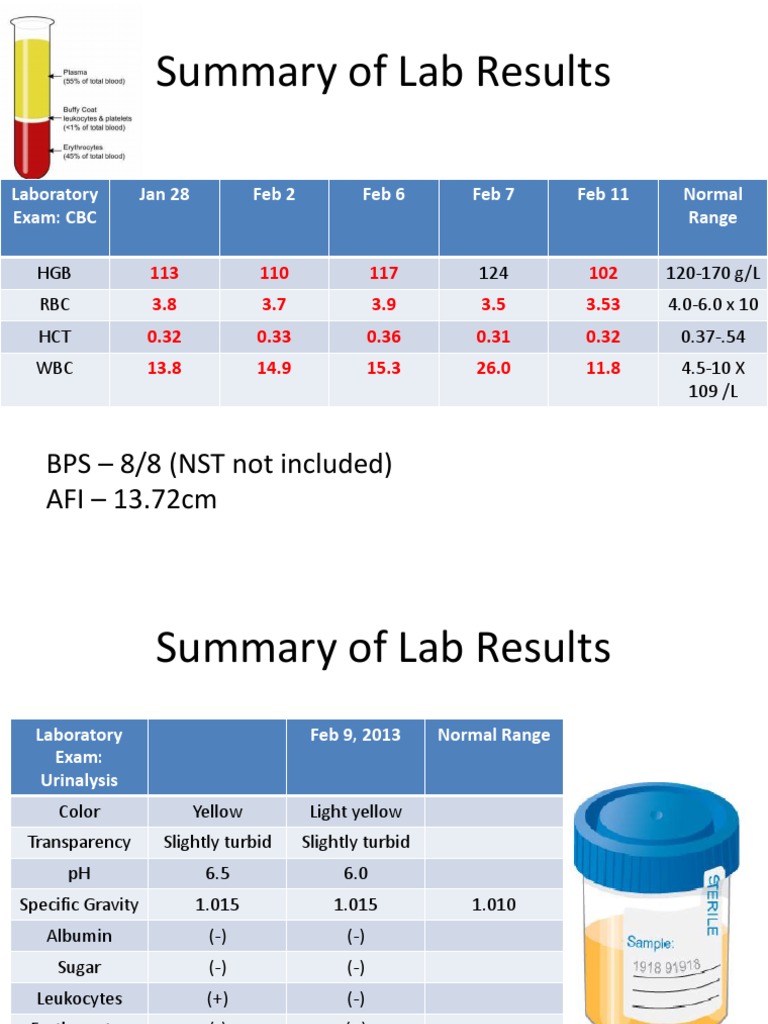 Comprehensive Lab and Imaging Results Summary | PDF