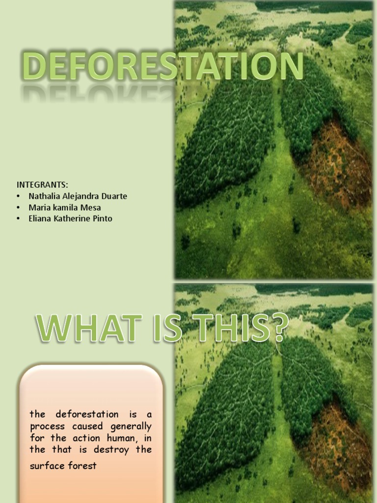 Impact of Deforestation on Climate Change | PDF | Science & Mathematics