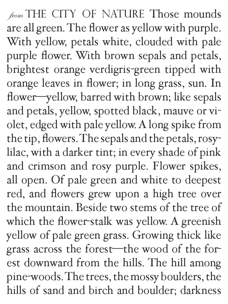 Tom Comitta | PDF | Trees | Sea