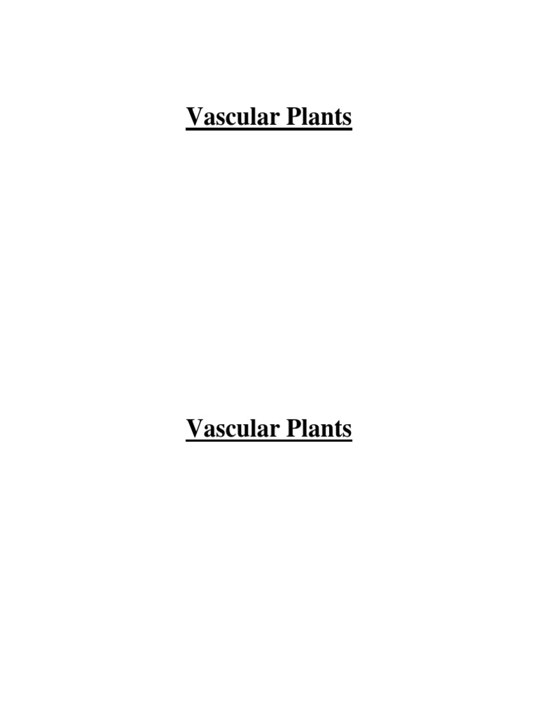 Lesson Plan Vascular | PDF | Tissue (Biology) | Plants